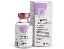 MSD Animal Health Hub: Regumate® Porcine 0.4 % w/v oral solution