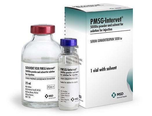 PMSG-Intervet® 5000 IU Powder and Solvent for Solution for Injection ...