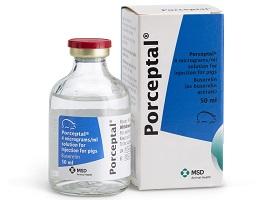 MSD Animal Health Hub: Regumate Porcine® 0.4 % w/v oral solution
