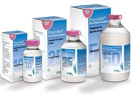 MSD Animal Health Hub: Porcilis® APP Suspension for injection