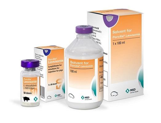 Porcilis® Lawsonia lyophilisate and solvent for emulsion for injection ...