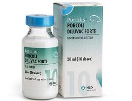 MSD Animal Health Hub: Porcilis® Porcoli Diluvac Forte