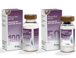 MSD Animal Health Hub: Porcilis® PCV ID emulsion for injection for pigs