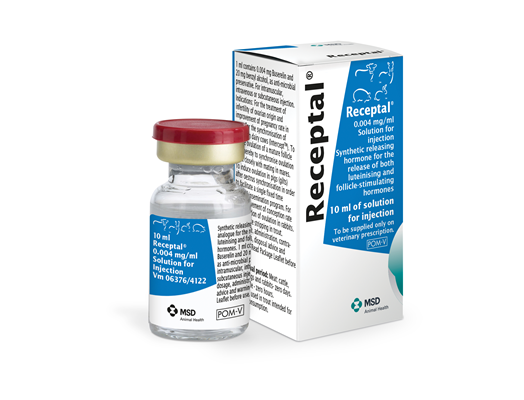 Receptal® 4 microgram/ml solution for injection | MSD Animal Health HUB