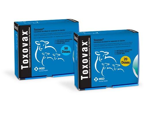 MSD Animal Health Hub: Toxovax® Q & A