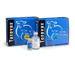 MSD Animal Health Hub: Ovivac P Plus®