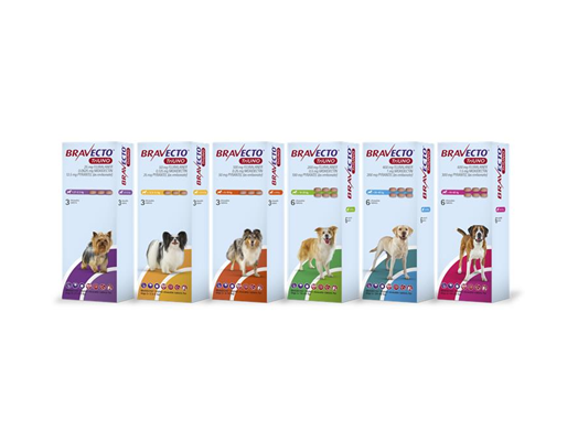 BRAVECTO® TriUNO chewable tablets for dogs | MSD Animal Health HUB