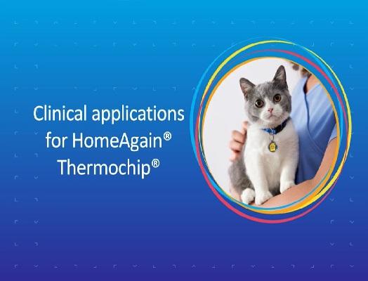 Clinical applications of HomeAgain® Thermochip® | MSD Animal Health HUB