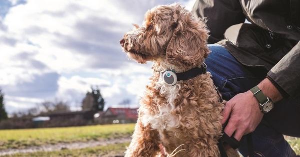 Animo® | MSD Animal Health HUB