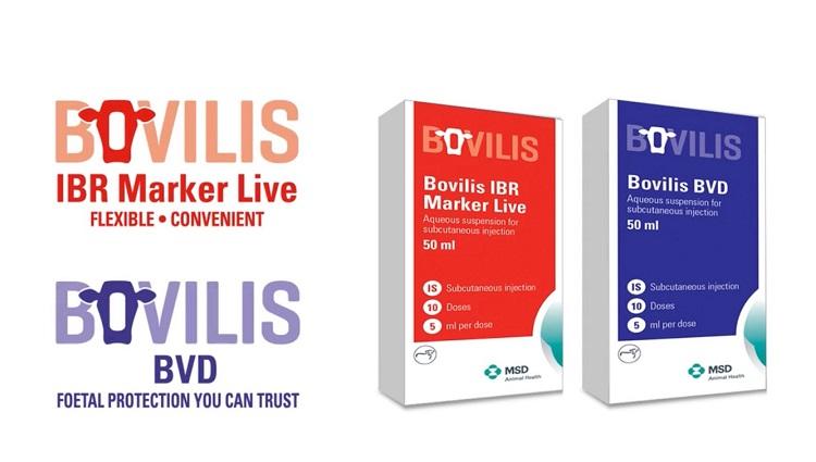 MSD Animal Health Hub: Bovilis BVD® Suspension for injection for cattle