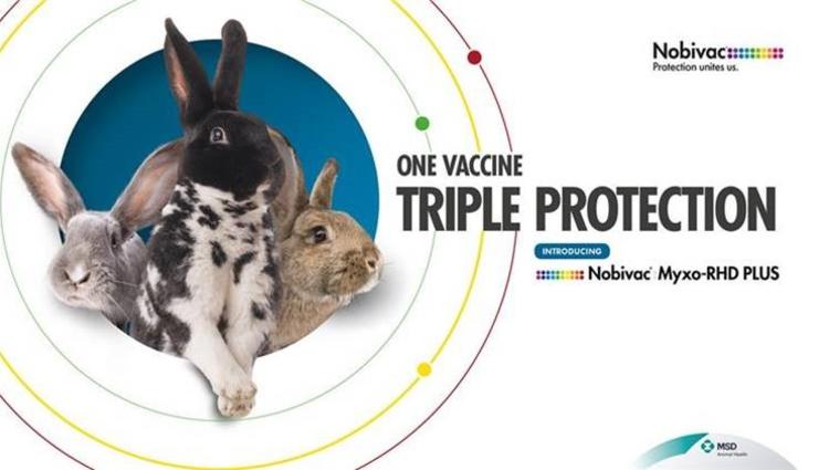MSD Animal Health Hub: Nobivac® Myxo-RHD PLUS